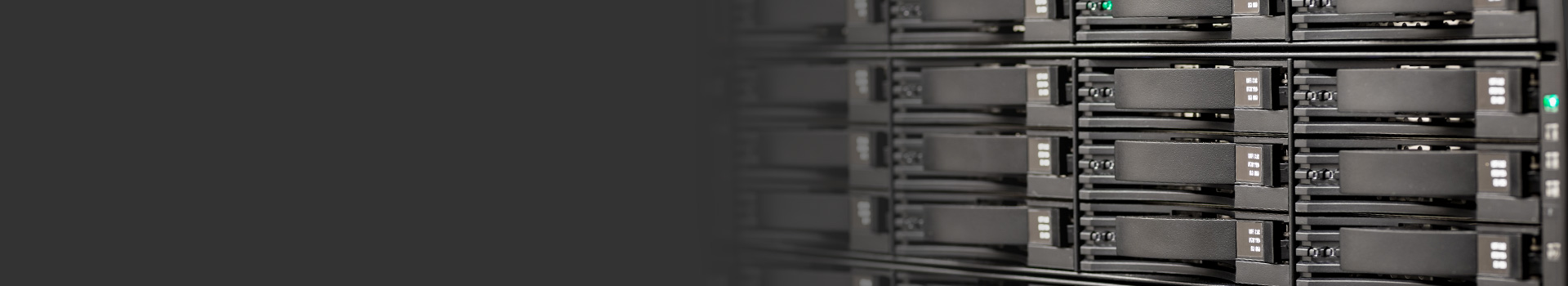 NAS Data Recovery Services - NAS Server File Restoration